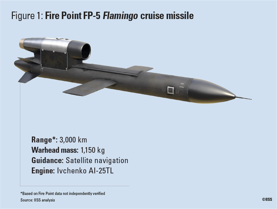 Ukraine recently unveiled a new cruise missile named Flamingo